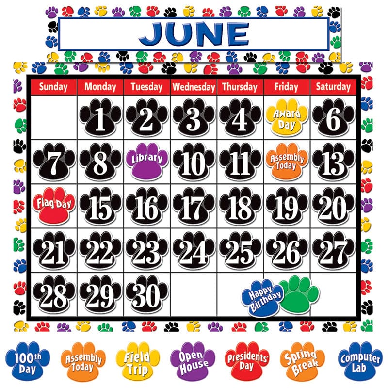 Colorful Paw Prints Calendar Bb Set (Pack of 3) | ShelHealth