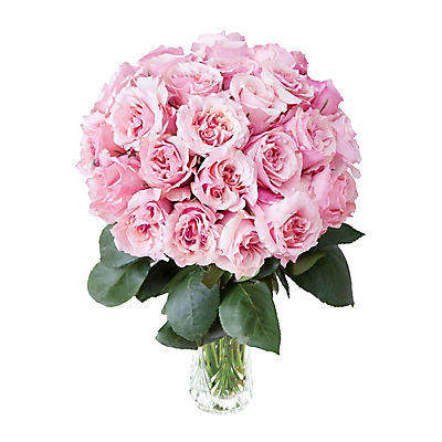 InBloom Pink Starburst Garden Rose Bouquet, 24 pc. | ShelHealth