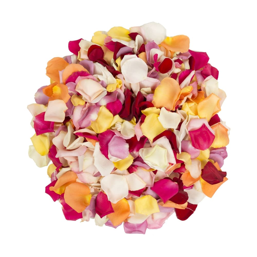 5,000 Rose Petals - Rainbow | ShelHealth