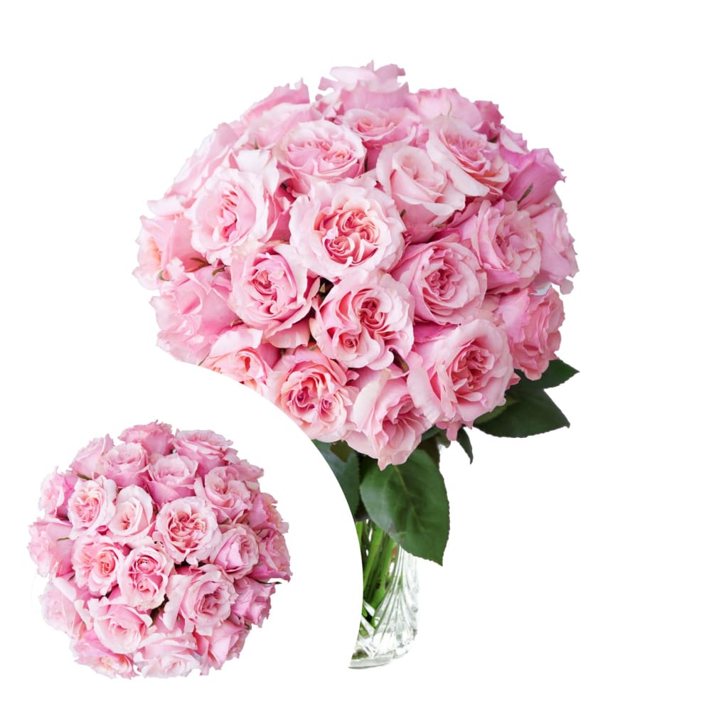 InBloom Pink Starburst Garden Rose Bouquet, 24 pc. | ShelHealth