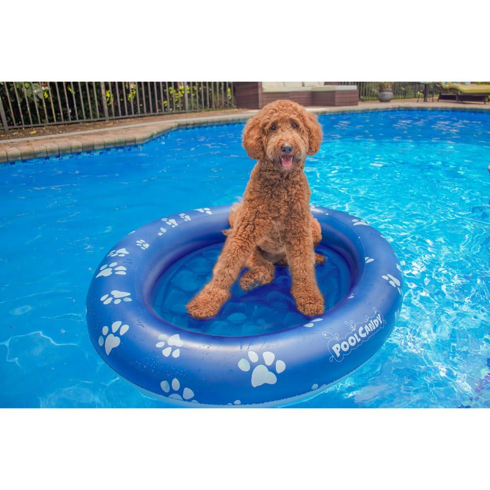 Pool Candy Dog Pool Float and Lounger | ShelHealth