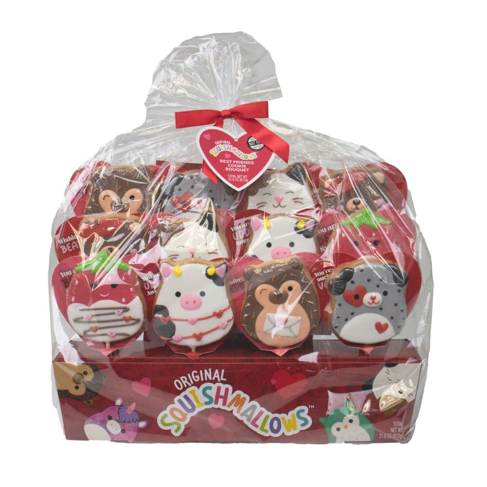 Squishmallows Cookie Bouquet | ShelHealth