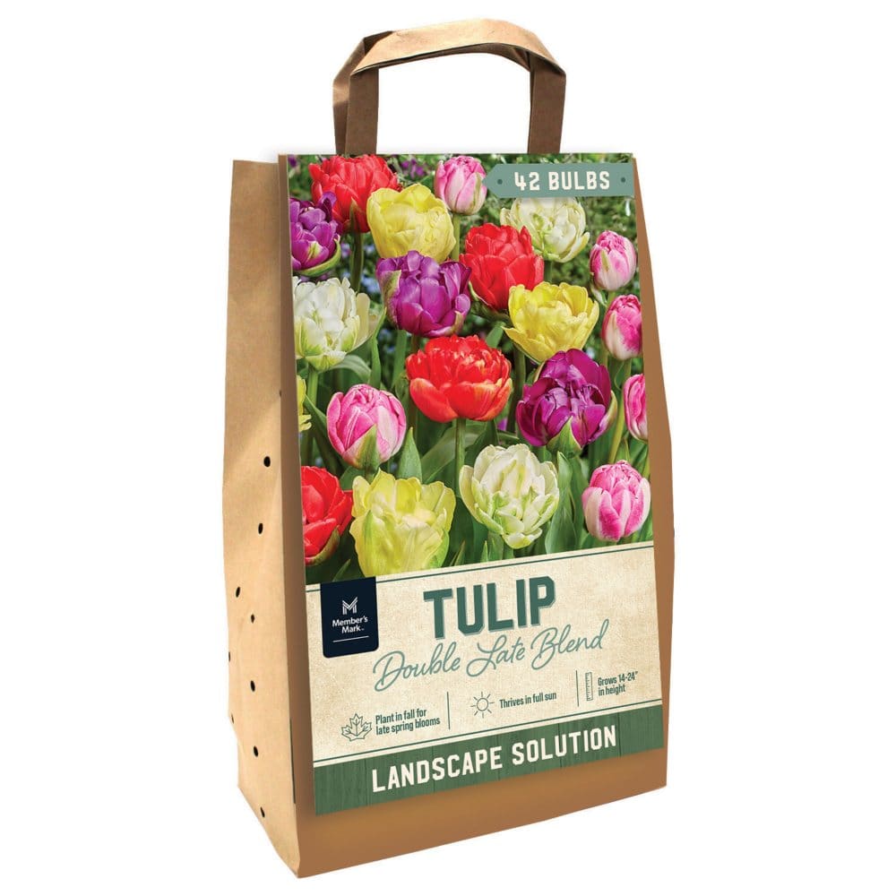 Tulip Double Late Mix - Package of 42 Dormant Bulbs | ShelHealth