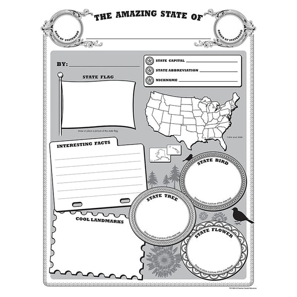 Amazing State Poster Pack (Pack of 3) | ShelHealth