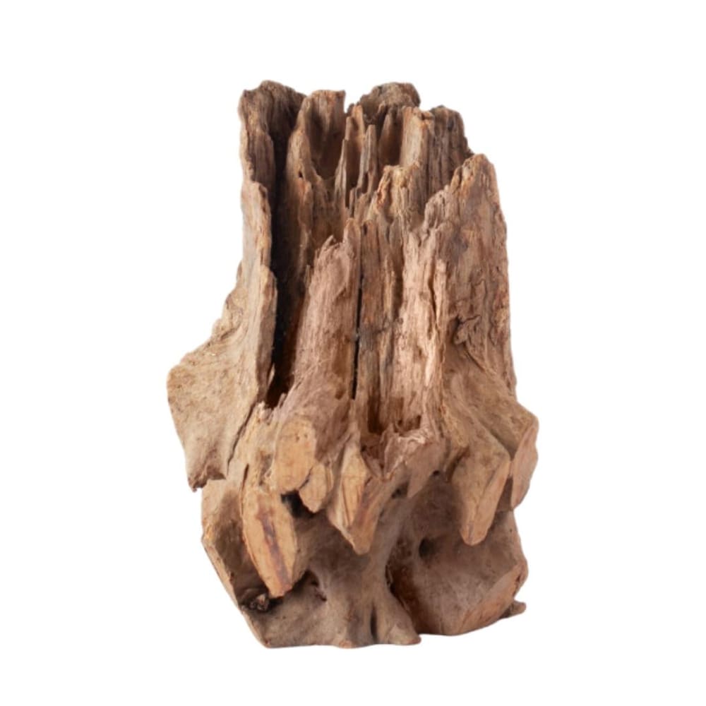 Galapagos Natural Eucalyptus Hollow Log Hide 1ea-6-8 in | ShelHealth