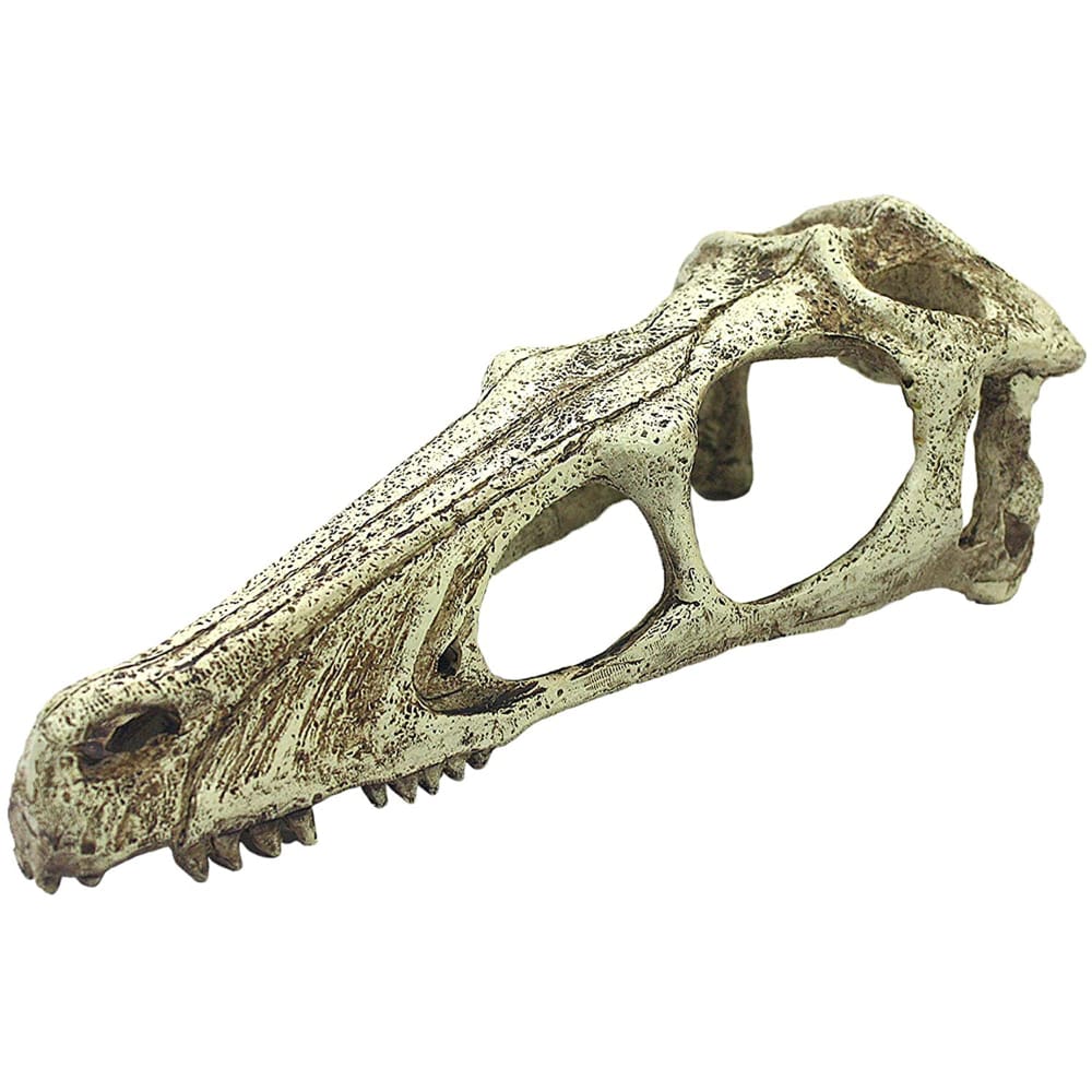 Komodo Raptor Skull Reptile Hideout Tan Extra-Large | ShelHealth