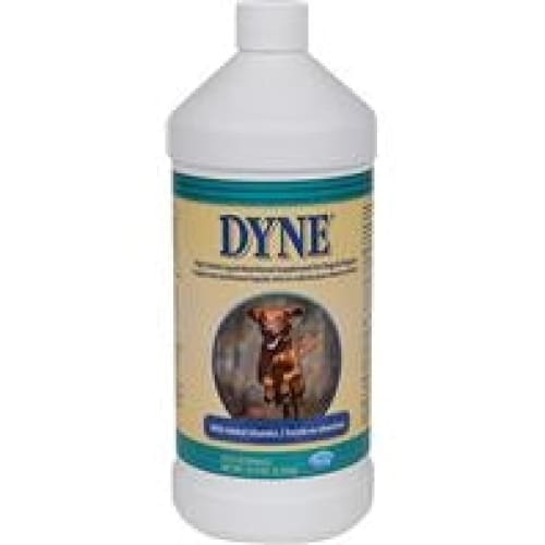 Lambert Kay Dyne High Calorie Liquid Nutritional Supplement for Dogs ...