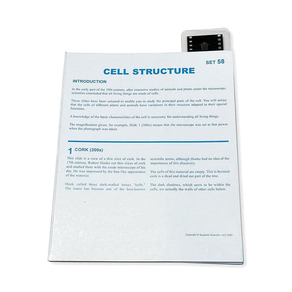 Microslide-Cell Structure (Pack of 6) | ShelHealth