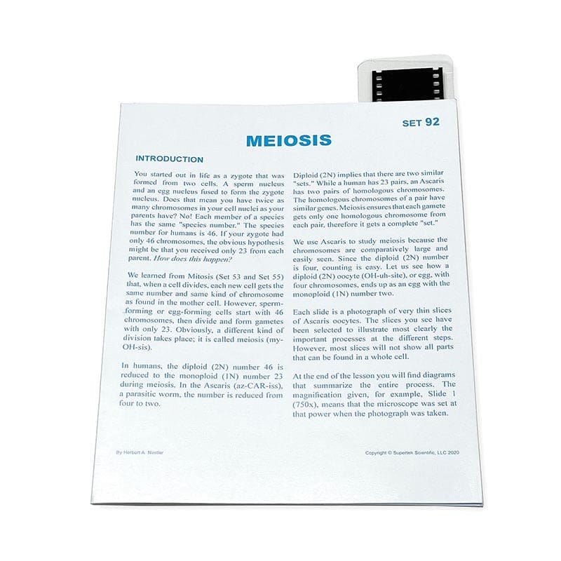 Microslide Plant Meiosis (Pack of 6) | ShelHealth