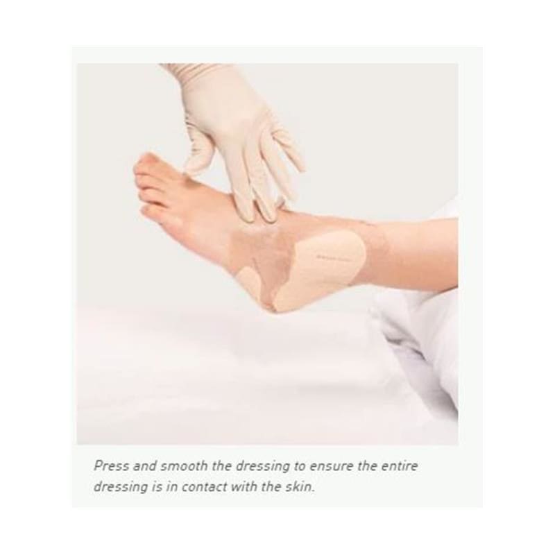 Molnlycke Meliplex Border Heel Foam 22Cm X23Cm, Box of 10 | ShelHealth