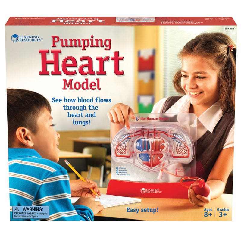 Pumping Heart Model | ShelHealth