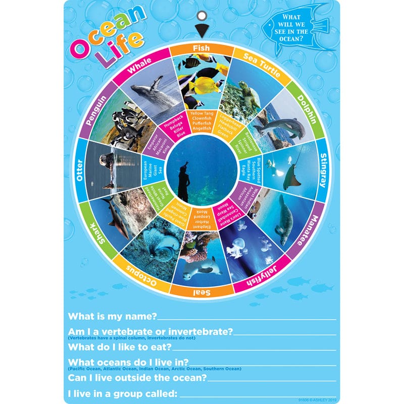 Smart Wheel Ocean Animals (Pack of 10) | ShelHealth